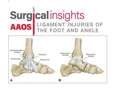 Foot & Ankle Education Resources