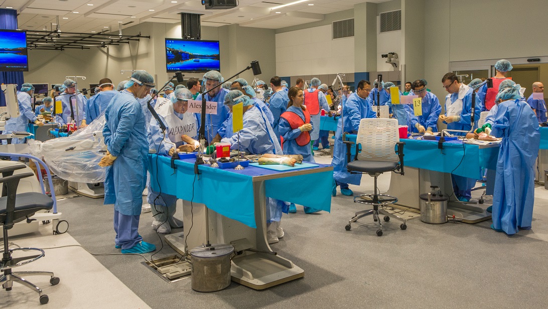 AAOS/AOFAS Foot and Ankle Surgical Skills | American Academy of ...