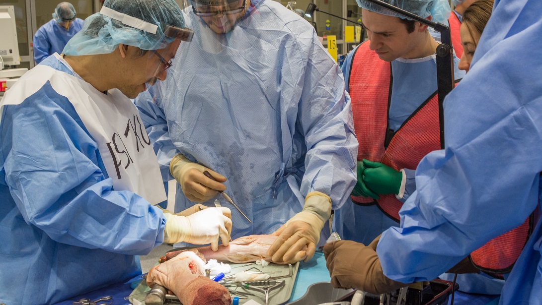 AAOS/AOFAS Foot and Ankle Surgical Skills | American Academy of ...